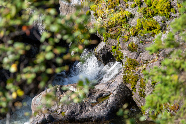 Lands, Resources and Fisheries – Taku River Tlingit First Nation