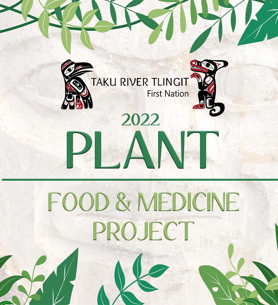 TRTFN Food and Medicine Plant Project – Taku River Tlingit First Nation