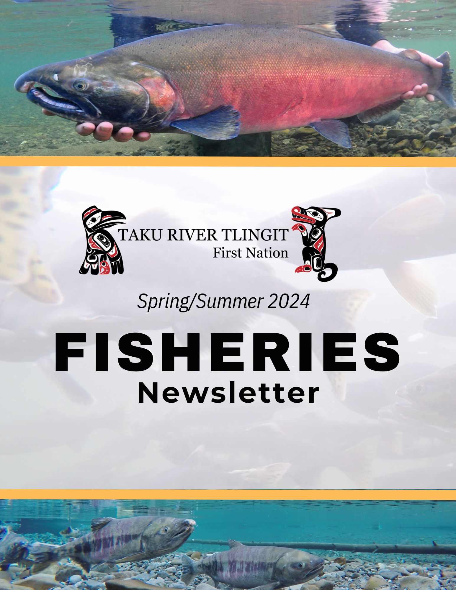 Lands, Resources and Fisheries – Taku River Tlingit First Nation